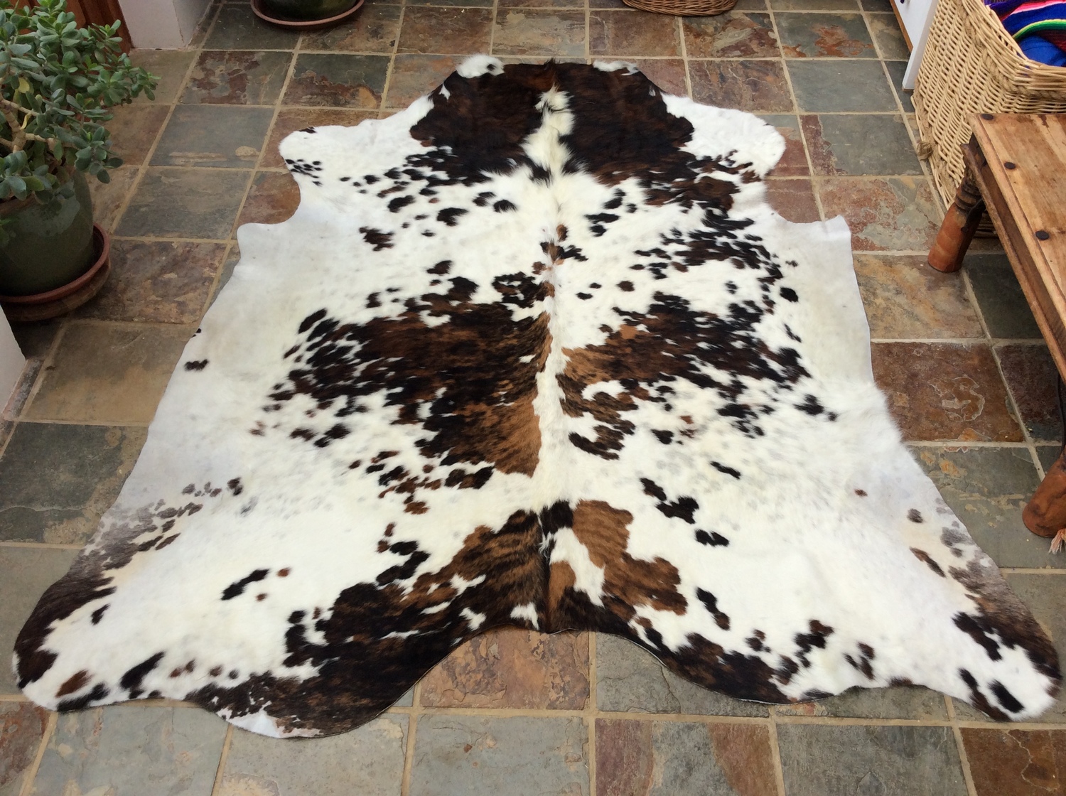 Just Our Stall | Cowhide